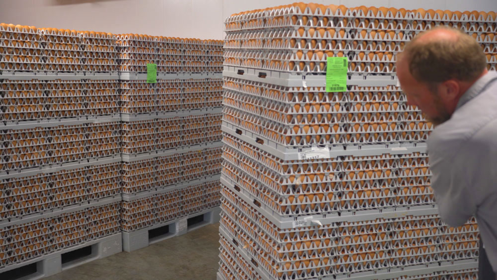 Gallery | Southern Poultry Solutions