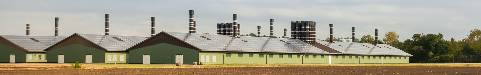 Solar Solutions for Poultry Farms | Southern Poultry Solutions