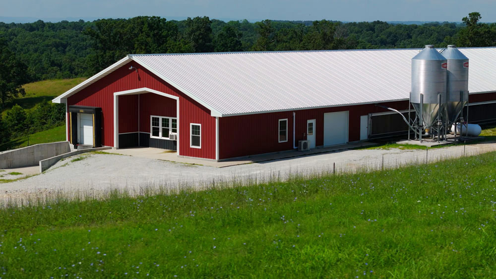 Gallery | Southern Poultry Solutions