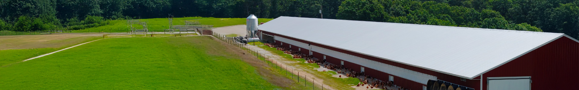 Gallery | Southern Poultry Solutions